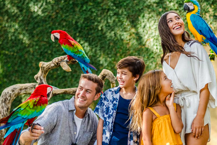 Combo (Save 20%): Bali Bird Park + Bali Zoo Tickets 2026